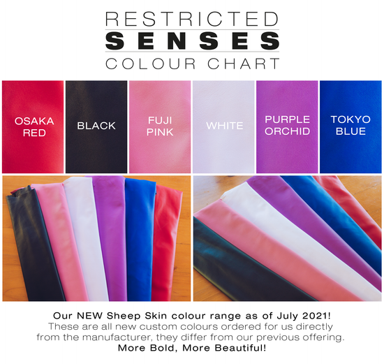 Leather Bondage Armbinder – Restricted Senses