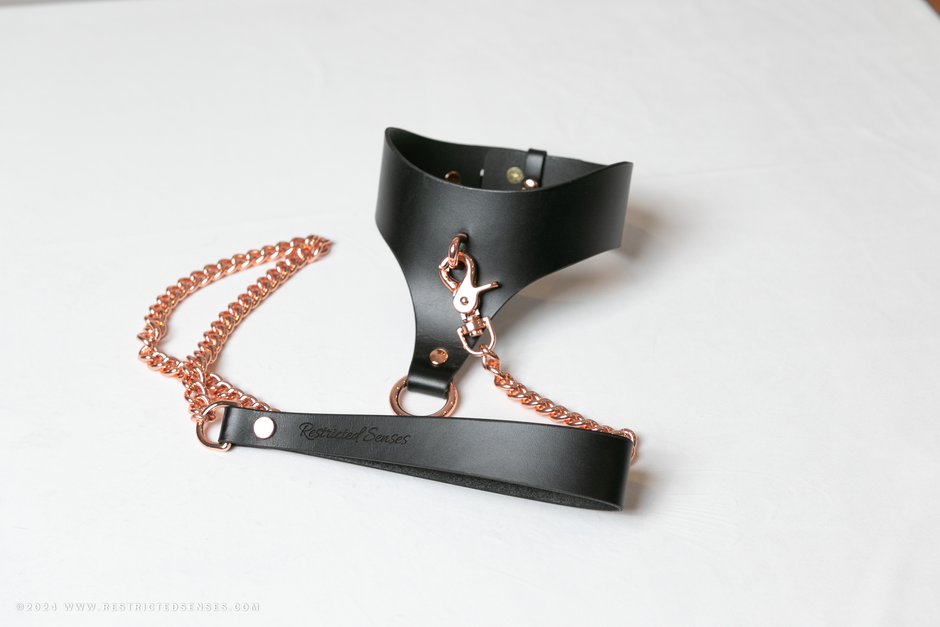 Collars & Leashes – Restricted Senses