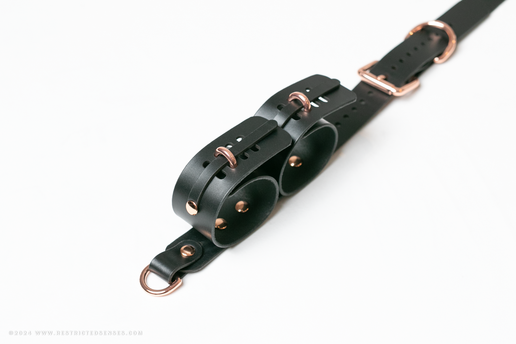 Locking Post Arms to Collar Bondage Detention Restraint System ...