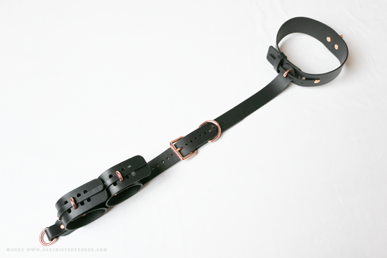 Locking Post Arms to Collar Bondage Detention Restraint System ...