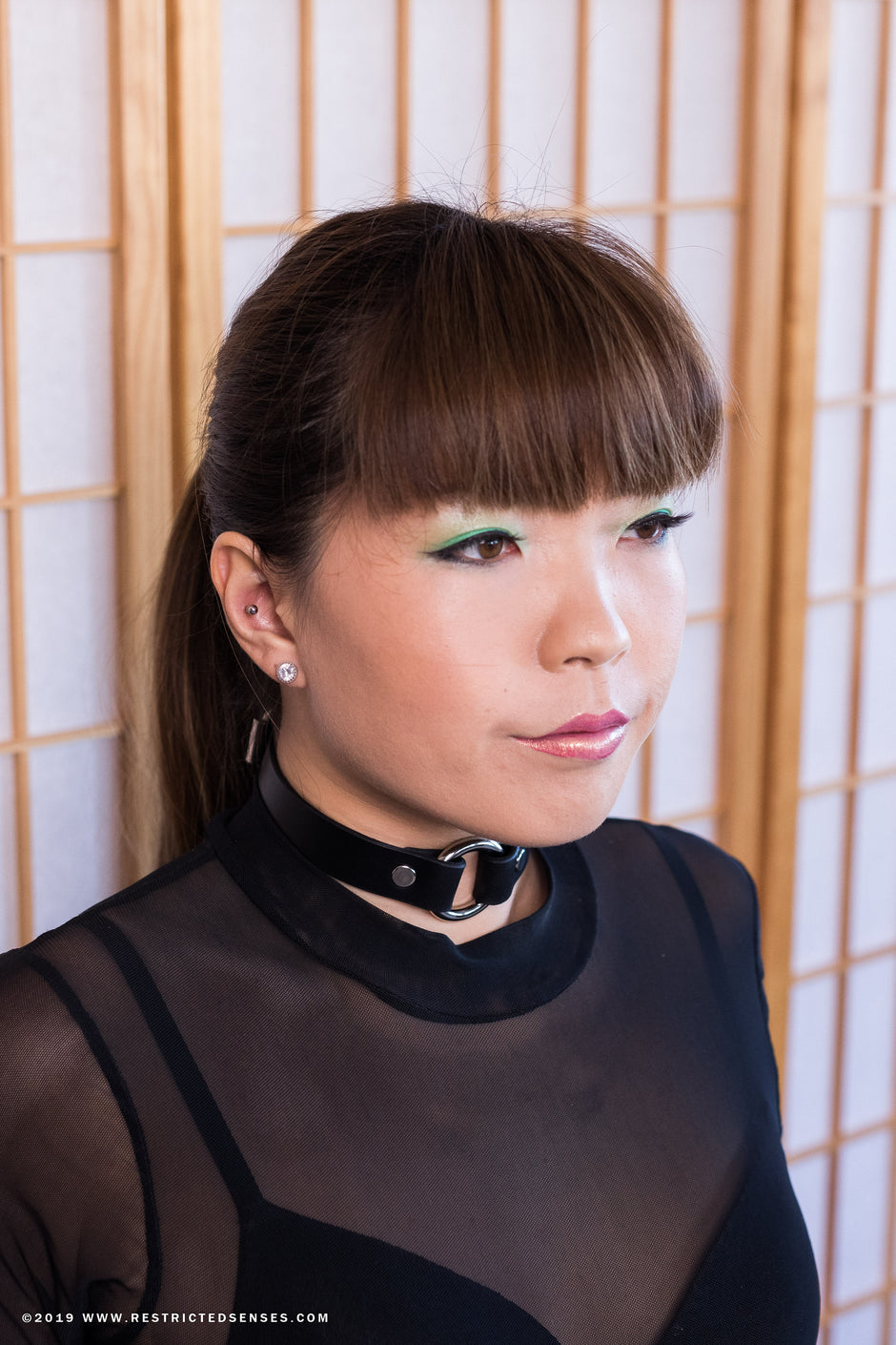 Collars & Leashes – Restricted Senses